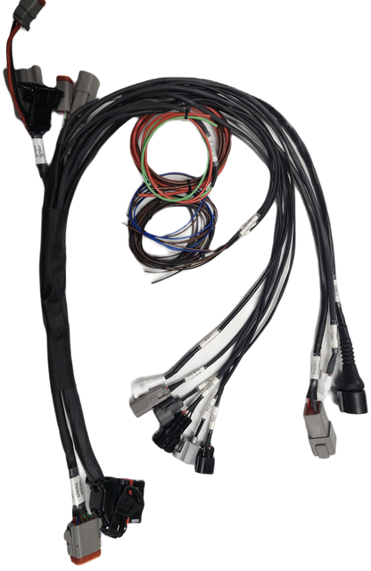 Maxxecu Sport Full Harness – Splice Racing Co.